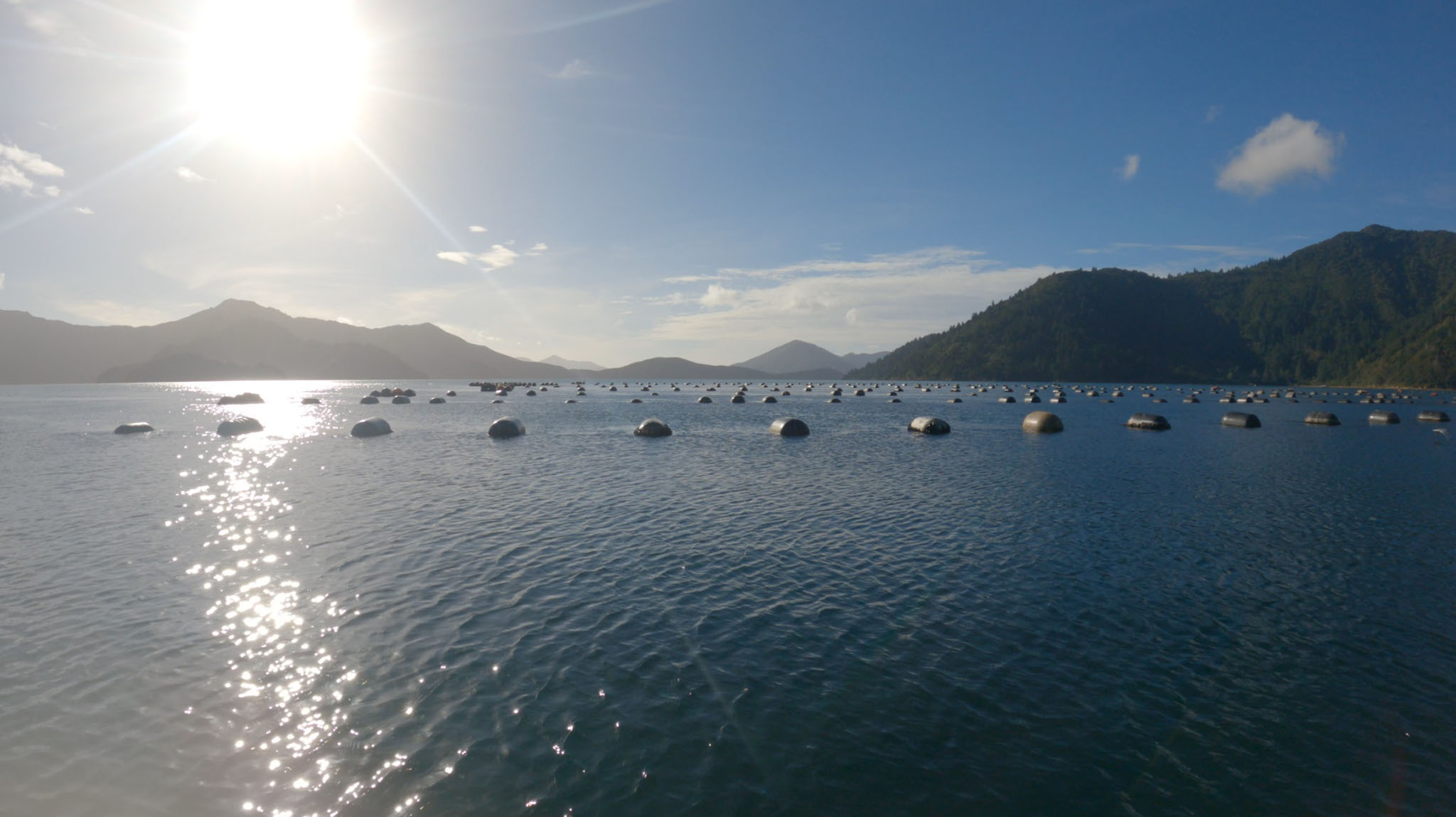 Scanning Mussel Ropes – UCVision