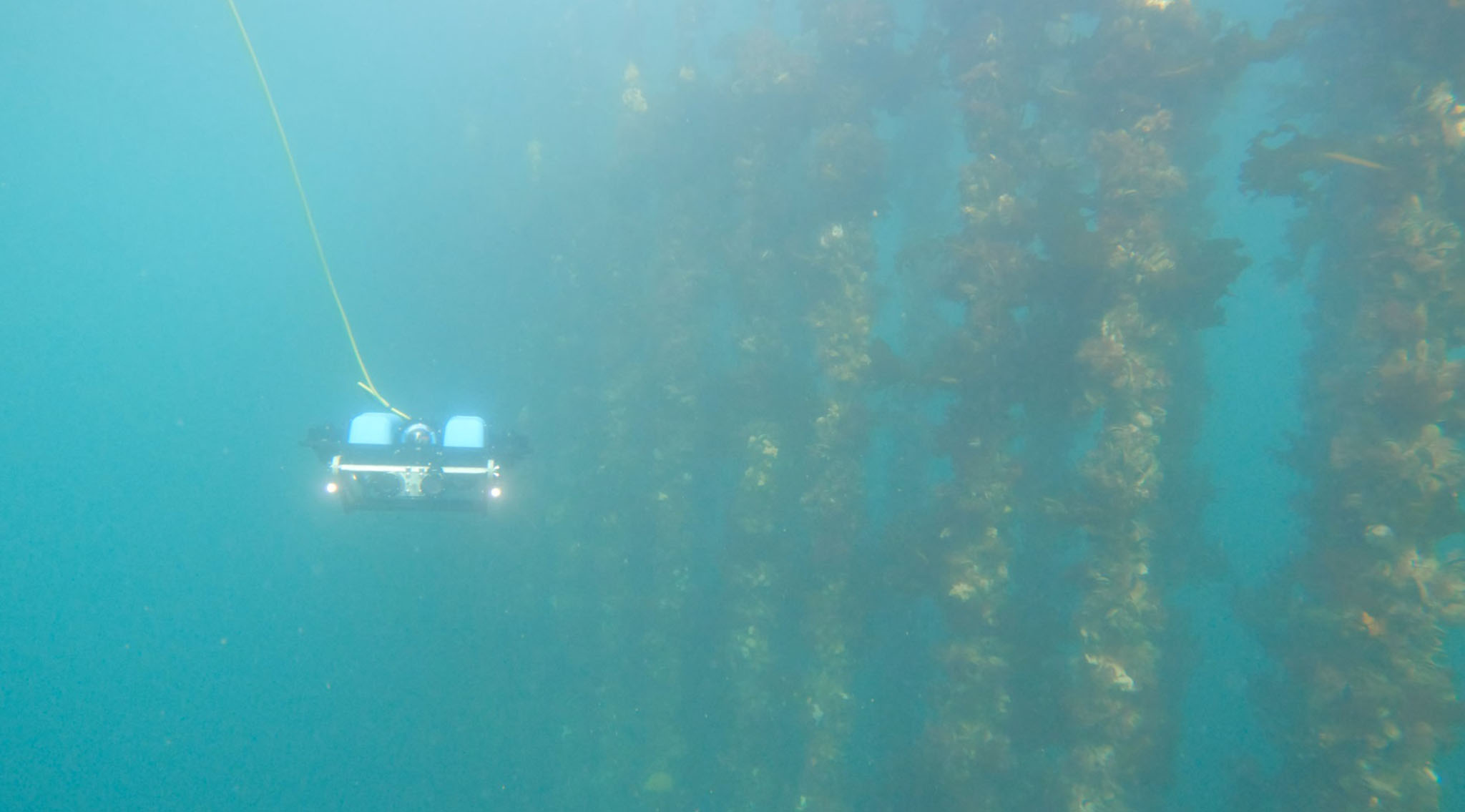 Scanning Mussel Ropes – UCVision