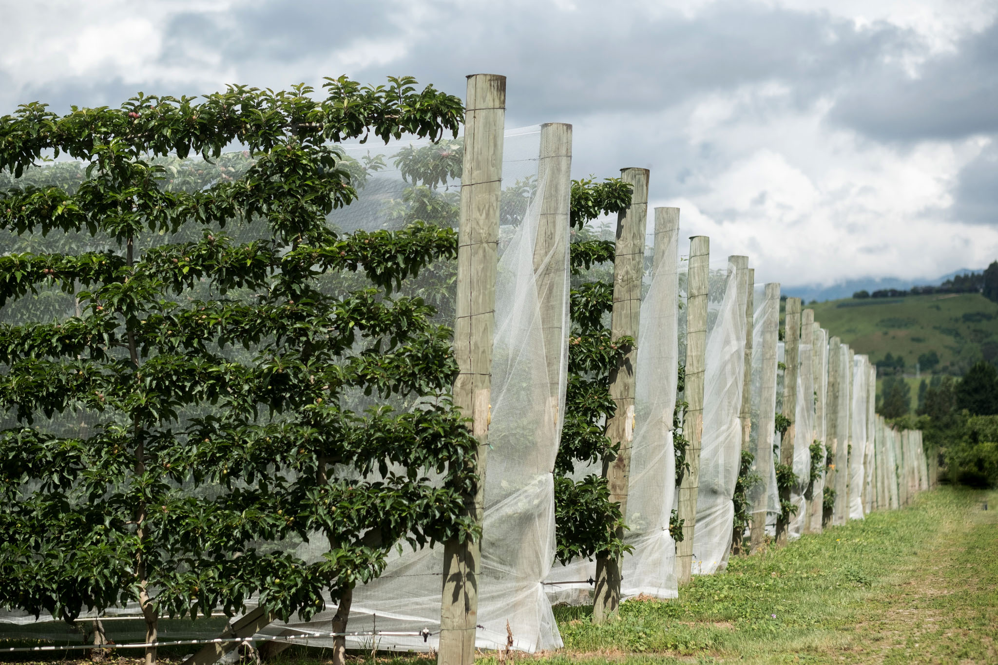 Maaratech Fieldtrip to Nelson – UCVision