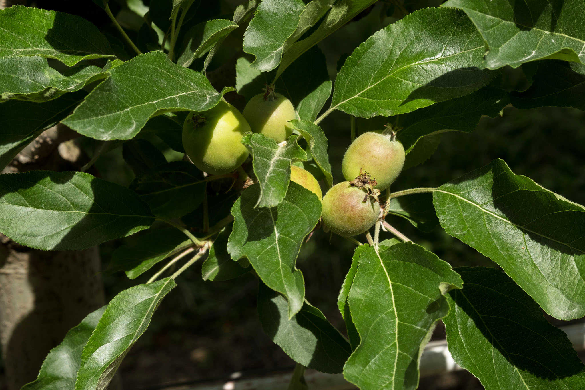 Maaratech Fieldtrip to Nelson – UCVision