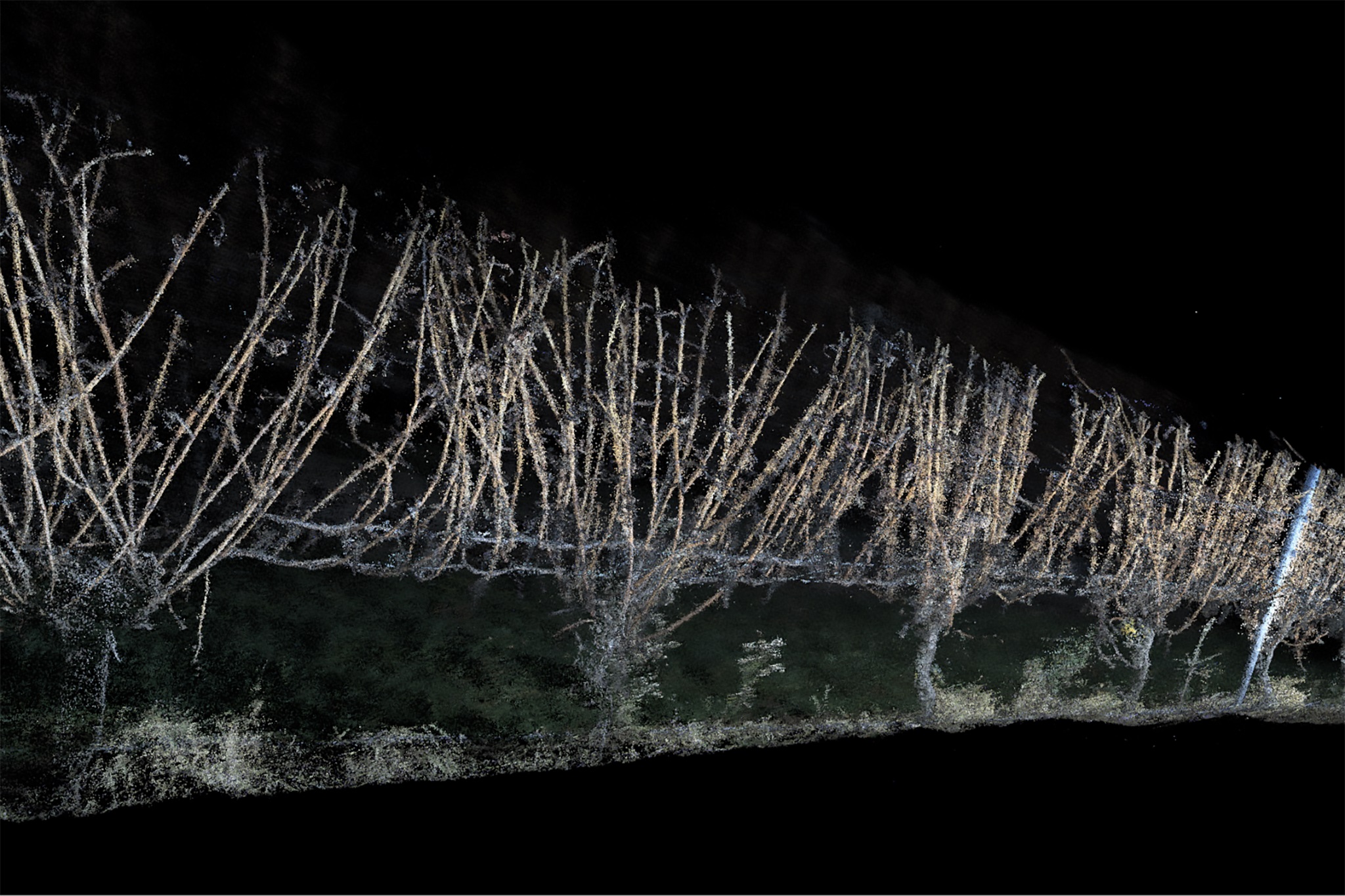 Maaratech – UCVision