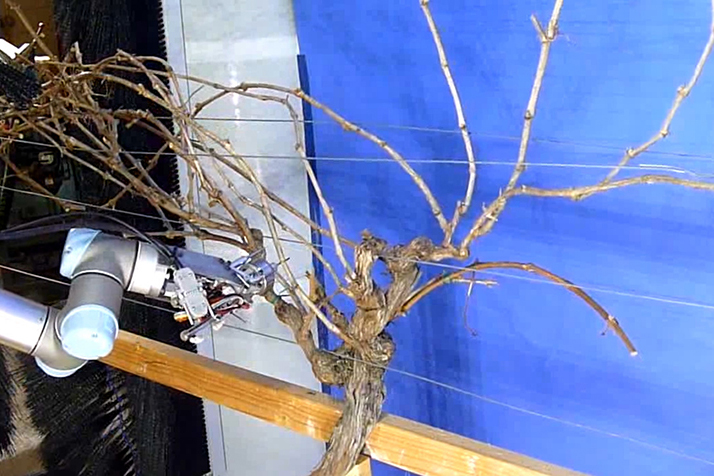 Research – UCVision