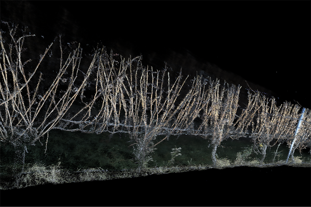 Research – UCVision