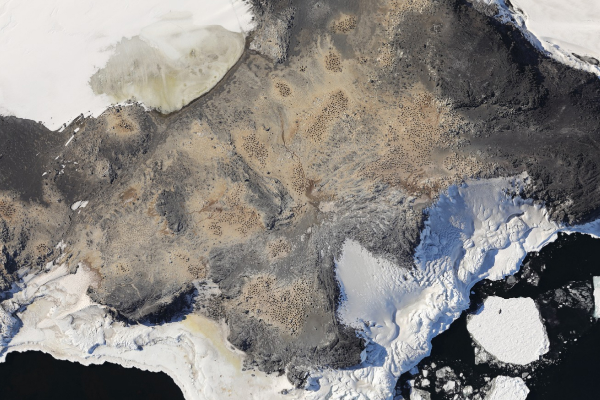 Research – UCVision