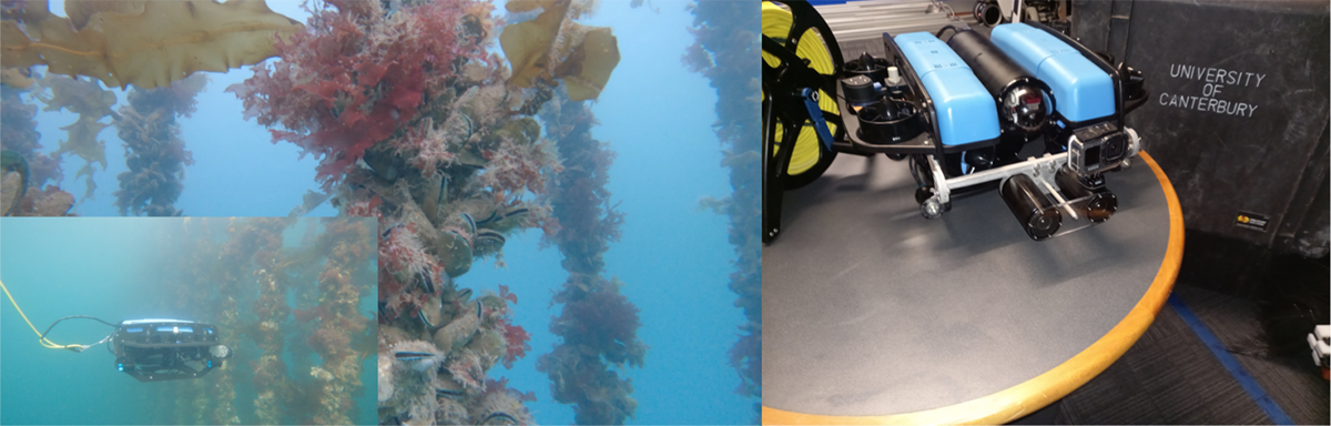 Scanning Mussel Ropes – UCVision