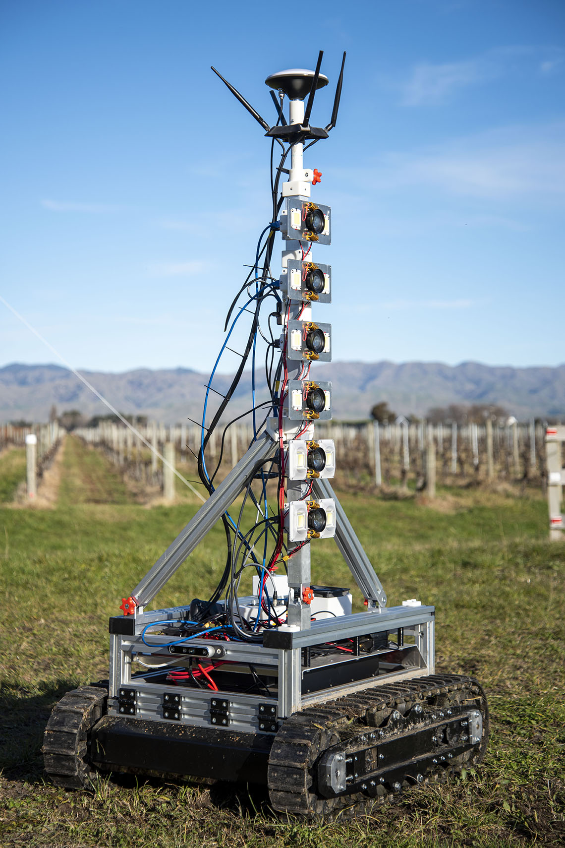 Vineyards – UCVision