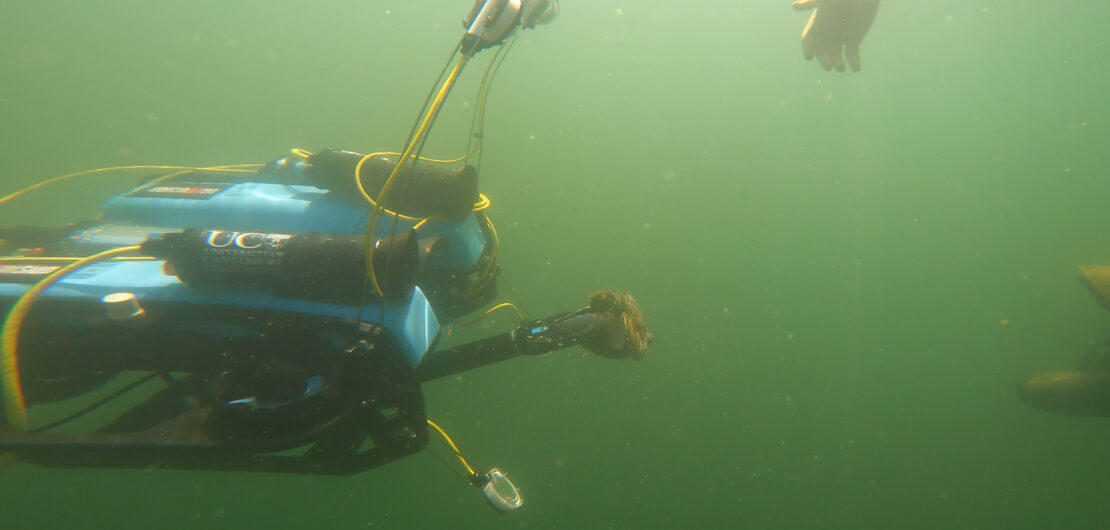 Meet our Team – Tim Rensen and Timothy Manning – UCVision